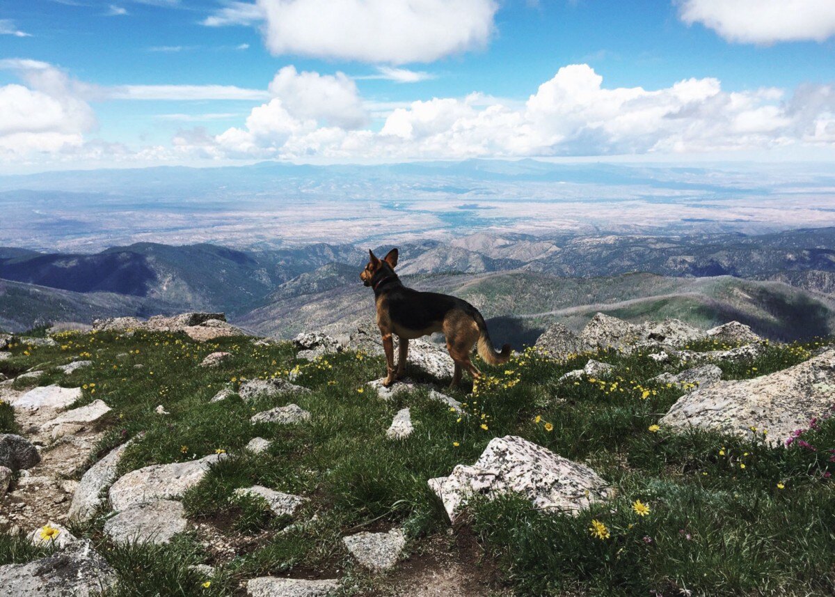 A Photo Love Letter to Santa Fe