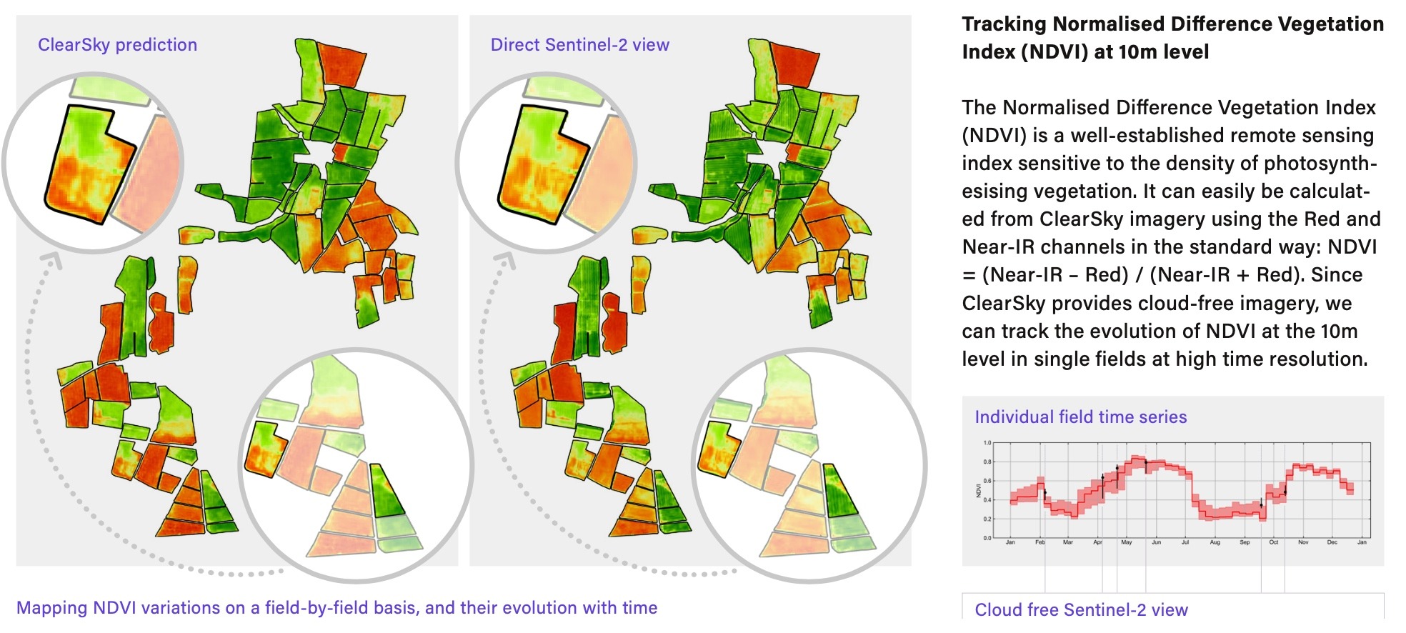 ClearSky: A Cloud-Free View of the Planet