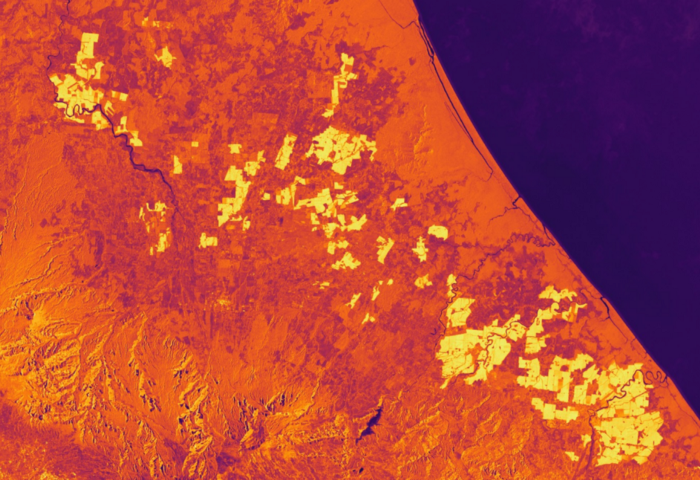 Rise of the Living Supply Chain