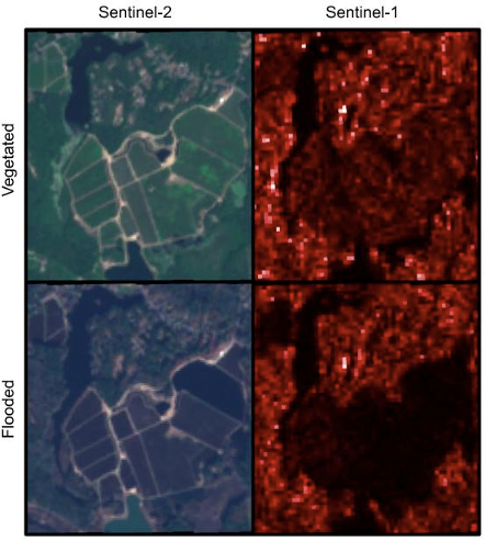 How We Built a Machine Learning Model to Locate and Map Cranberry Bogs ...